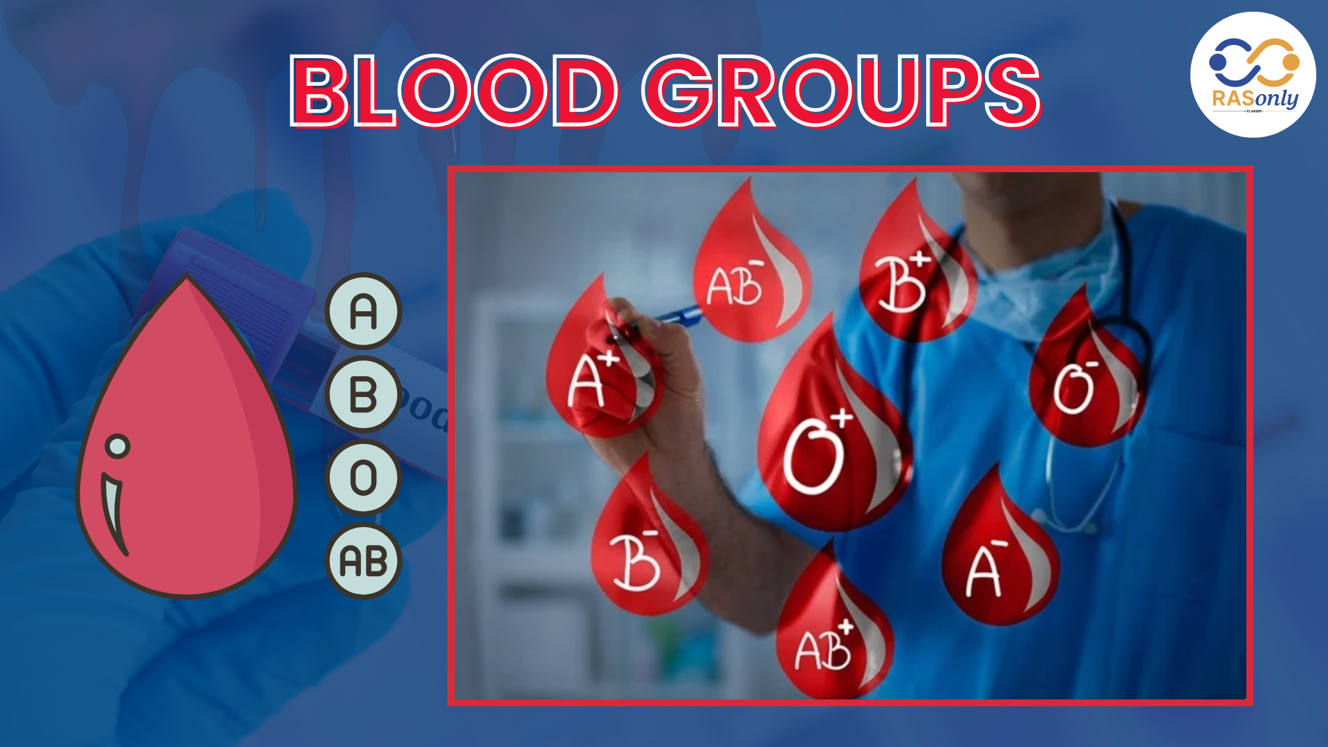 Blood Groups Explained: ABO System, Rh Factor & Compatibility